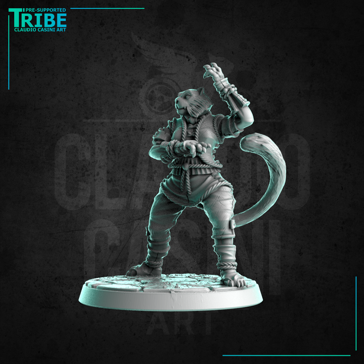 3D Printable (0237) Female rakshasa felinid folk monk shaolin fighter ...