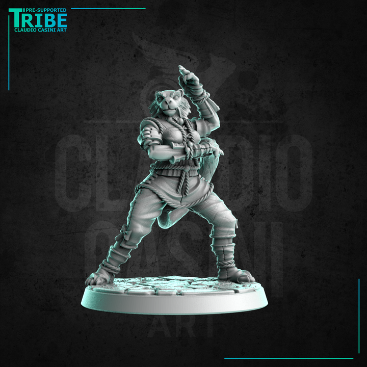 3D Printable (0237) Female rakshasa felinid folk monk shaolin fighter ...