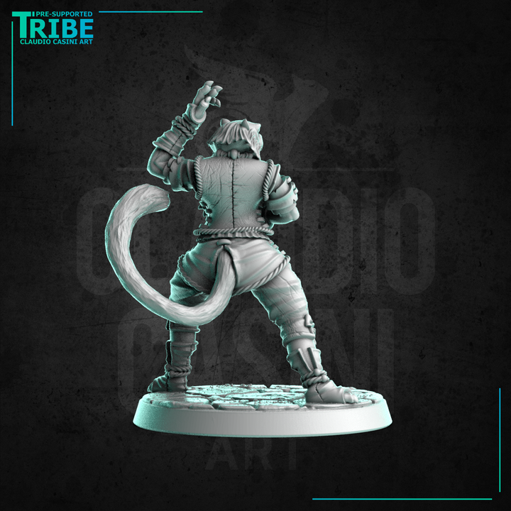 3D Printable (0237) Female rakshasa felinid folk monk shaolin fighter ...