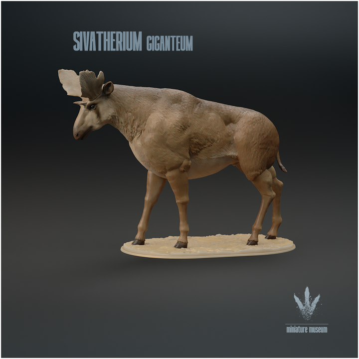 3D Printable Sivatherium giganteum : The Shiva's Beast by Miniature Museum