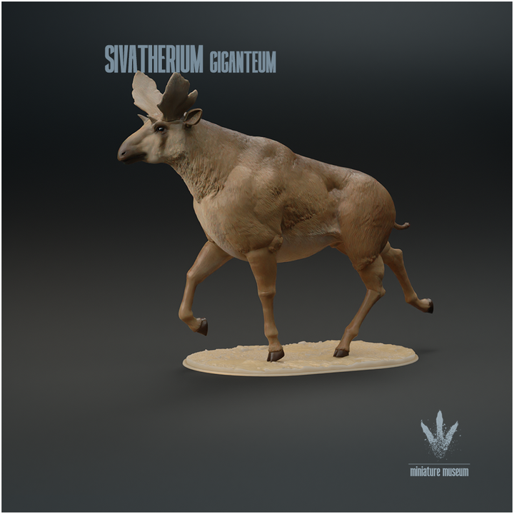 3D Printable Sivatherium giganteum : Run by Miniature Museum