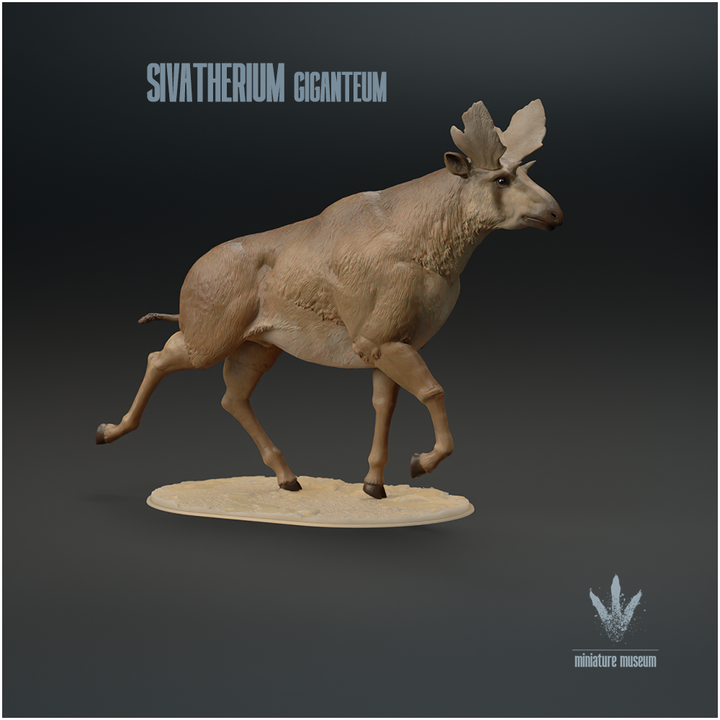 3D Printable Sivatherium giganteum : Run by Miniature Museum