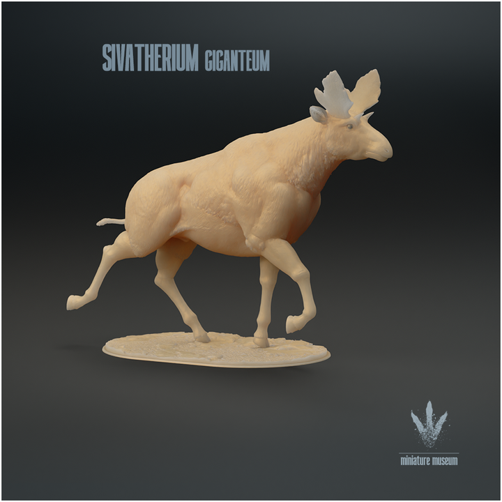 3D Printable Sivatherium giganteum : Run by Miniature Museum