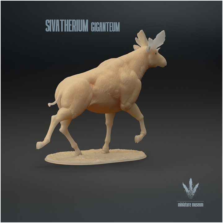 3D Printable Sivatherium giganteum : Run by Miniature Museum