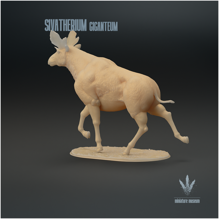 3D Printable Sivatherium giganteum : Run by Miniature Museum