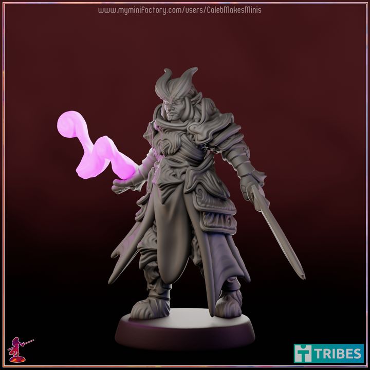 3D Printable "Despot" - Tiefling Fighter (Eldritch Knight) [PRE ...