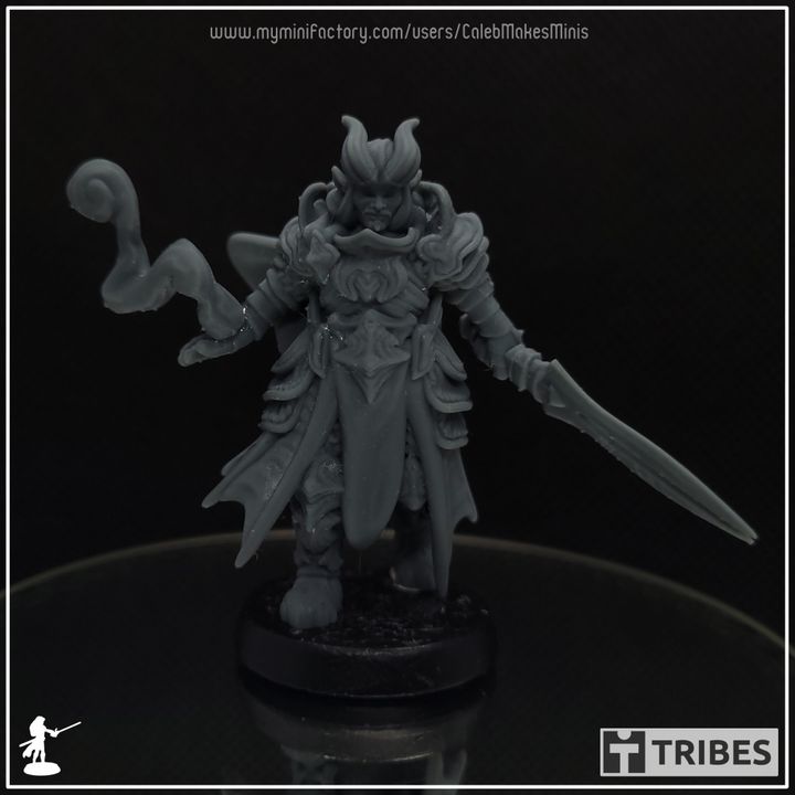 3D Printable "Despot" - Tiefling Fighter (Eldritch Knight) [PRE ...