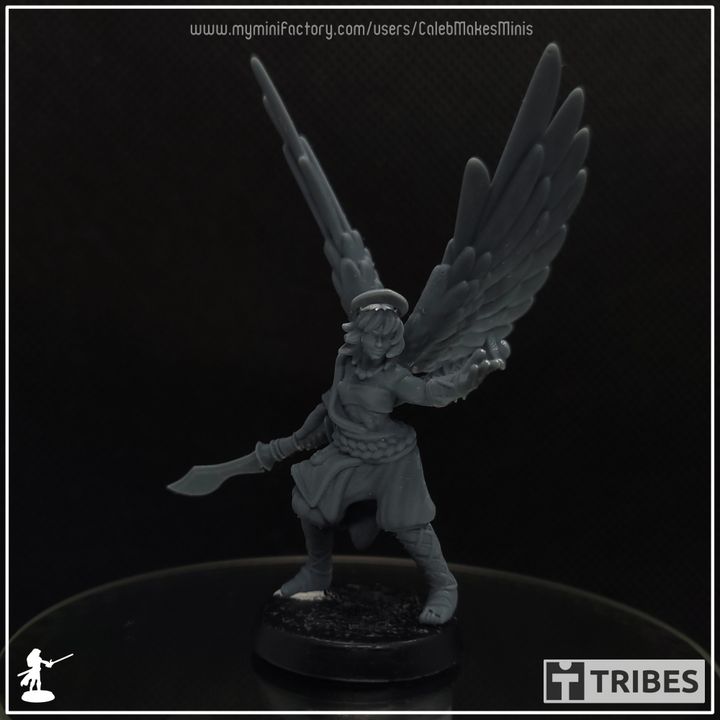 3D Printable "Marion Goldnight" - Aasimar Monk (Warrior of Mercy) [PRE ...