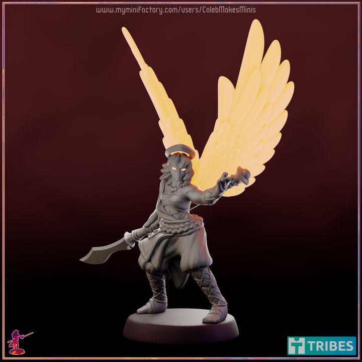 3D Printable "Marion Goldnight" - Aasimar Monk (Warrior of Mercy) [PRE ...