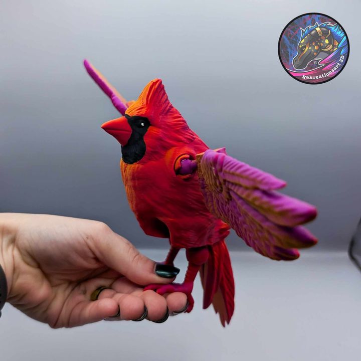 3D Printable Flexi Cardinal by Kirsten M
