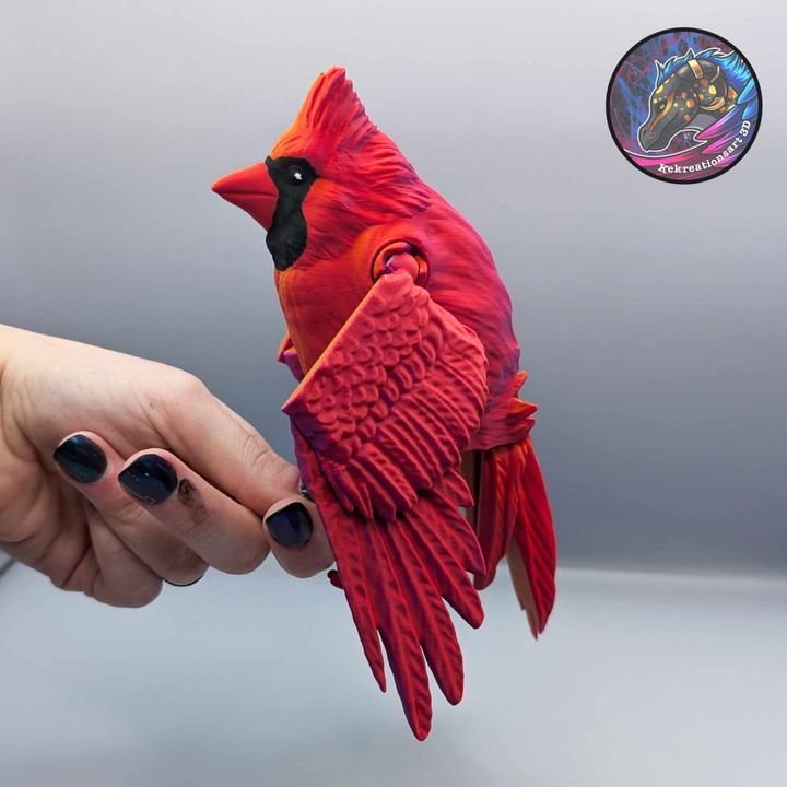 3D Printable Flexi Cardinal by Kirsten M
