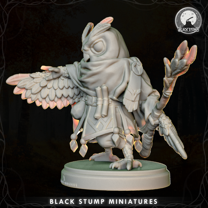 3D Printable Nightcaller Warlock Hero - Blood-Beak Canopy Ghost ...