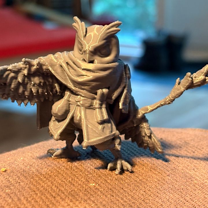 3D Print of Nightcaller Warlock Hero - Blood-Beak Canopy Ghost ...