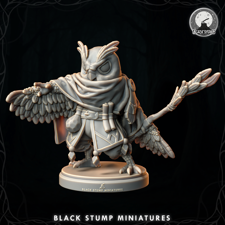 3D Printable Nightcaller Warlock Hero - Blood-Beak Canopy Ghost ...