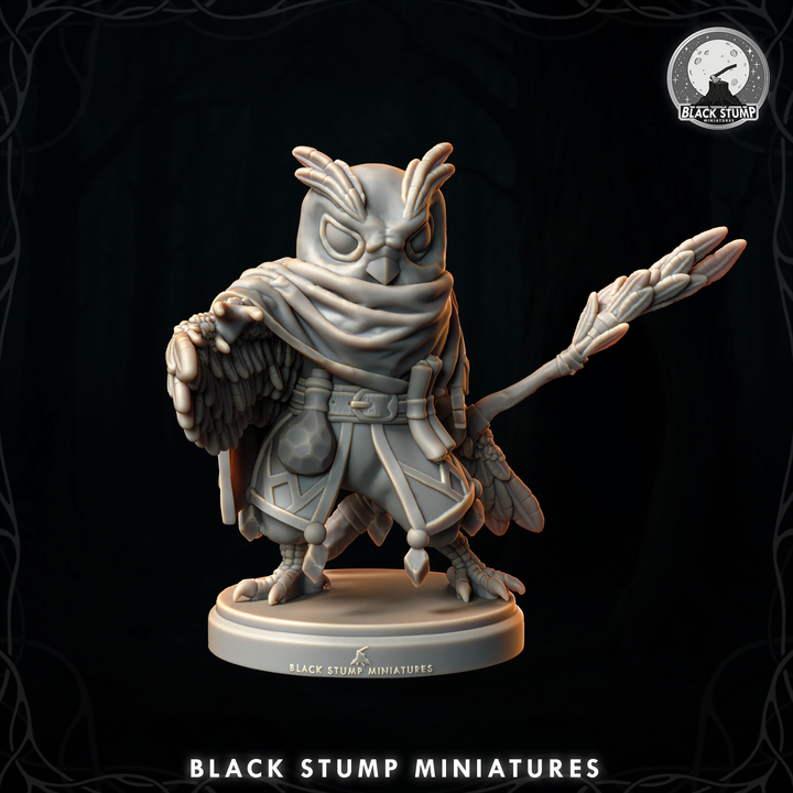 3D Printable Nightcaller Warlock Hero - Blood-Beak Canopy Ghost ...