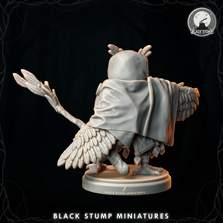 3D Printable Nightcaller Warlock Hero - Blood-Beak Canopy Ghost ...