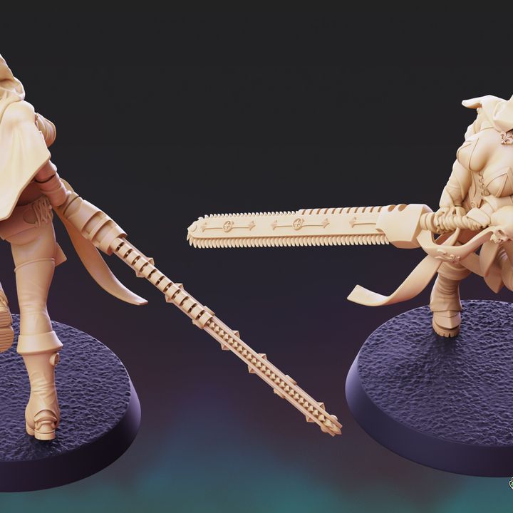 3D Printable Divine Order Deathmaidens Vol 1 Bundle + Pinup by PSMiniatures