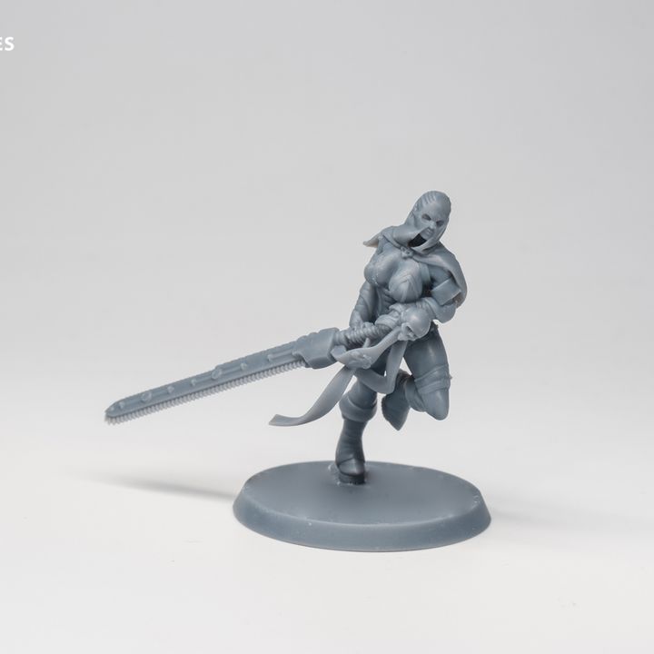 3D Printable Divine Order Deathmaidens Vol 1 Bundle + Pinup by PSMiniatures