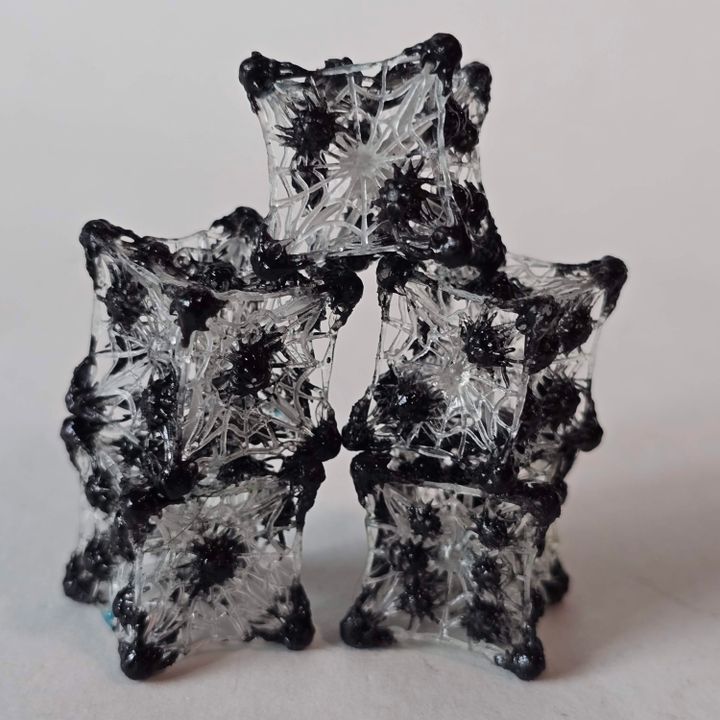 3D Printable Spider Web Dice by Zephrens 3D Productions (Dice)