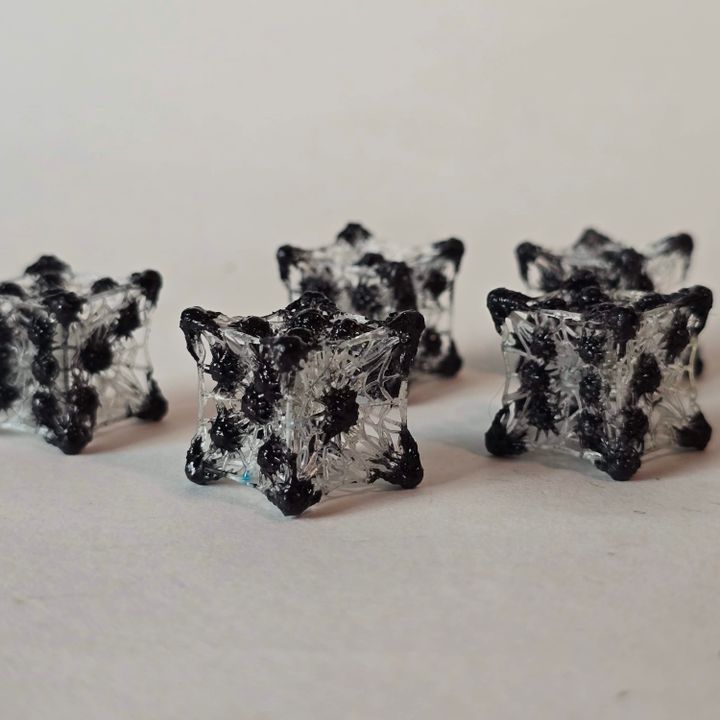 3D Printable Spider Web Dice by Zephrens 3D Productions (Dice)