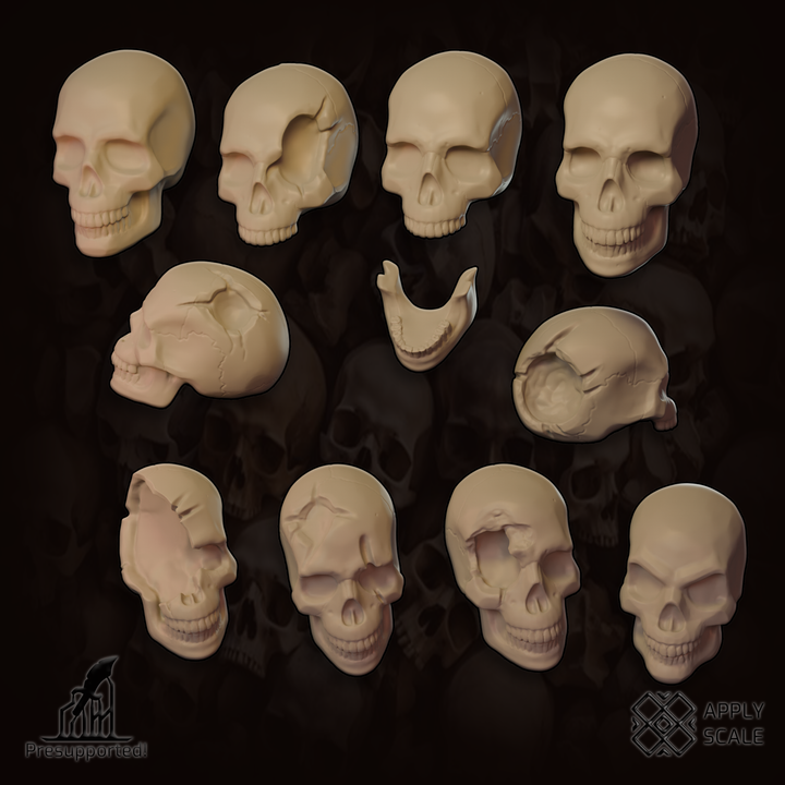 3D Printable Skulls basing bits - Orc, Human, Cyclops, Bird, Demon by ...