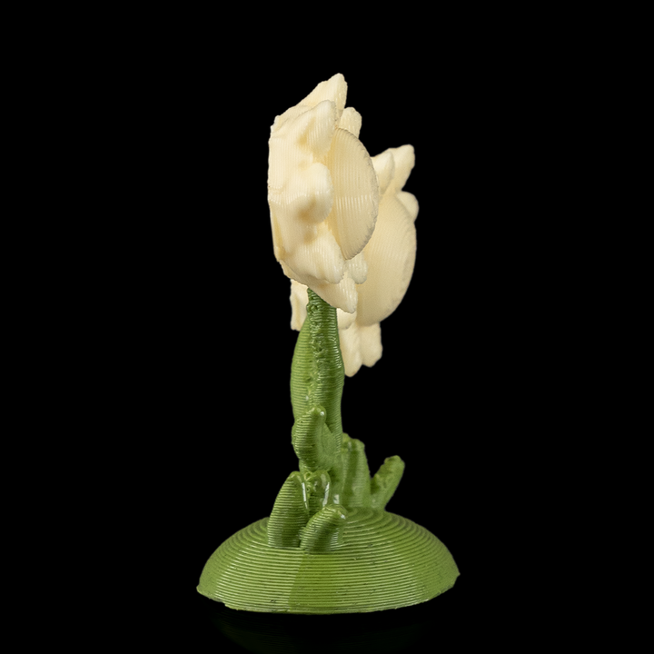 3D Printable Flowers by Stlflix