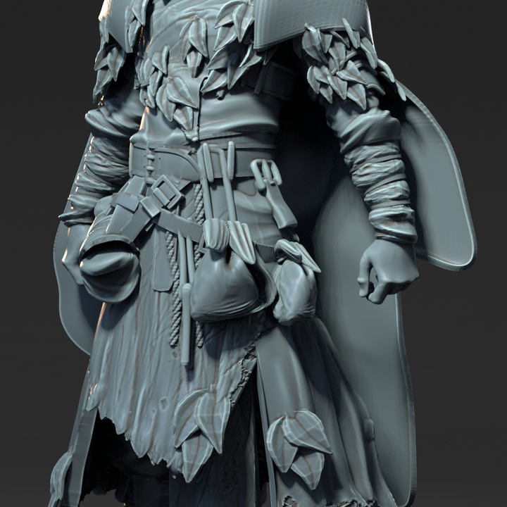 3D Printable BEAST MASTER ALL MODELS by BROKEN SWORD MINIATURES