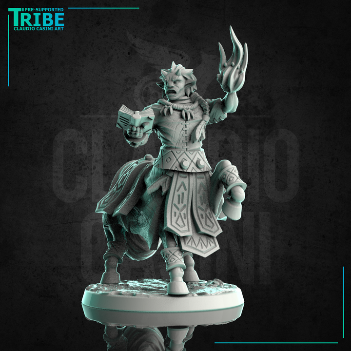 3D Printable (0239) Male centaur summoner wizard with a magic book and ...