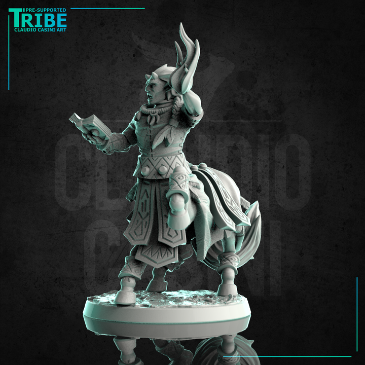 3D Printable (0239) Male centaur summoner wizard with a magic book and ...