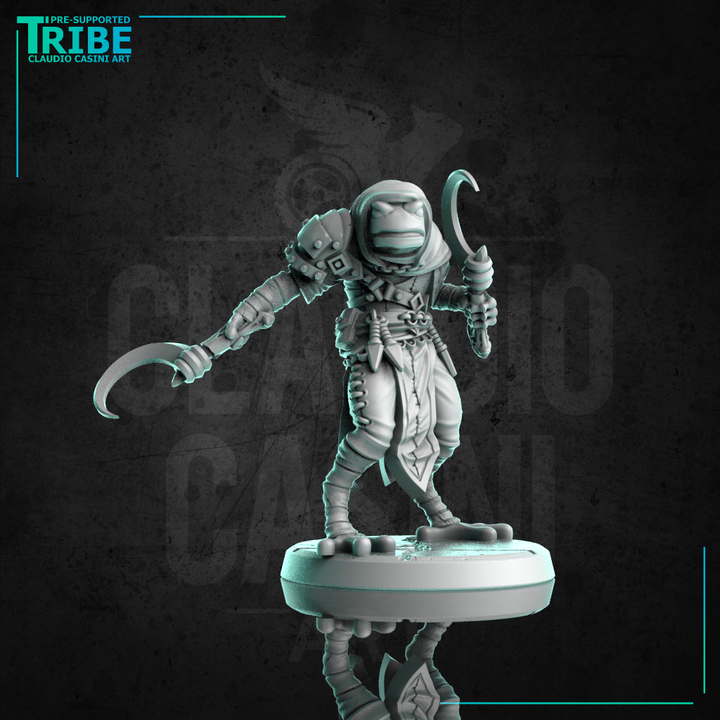 3D Printable (0254) Male rogue thief assassin killer frog man folk with ...