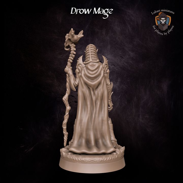 3D Printable Drow Mage by Lubart Miniatures
