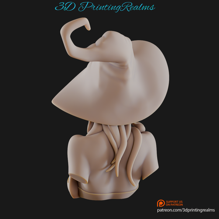 3D Printable Pointy Hat BUST by 3DprintingRealms