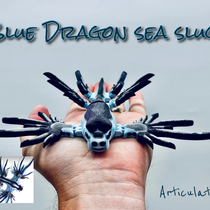 3D Printable Blue Dragon Sea Slug by ENIQUE3D