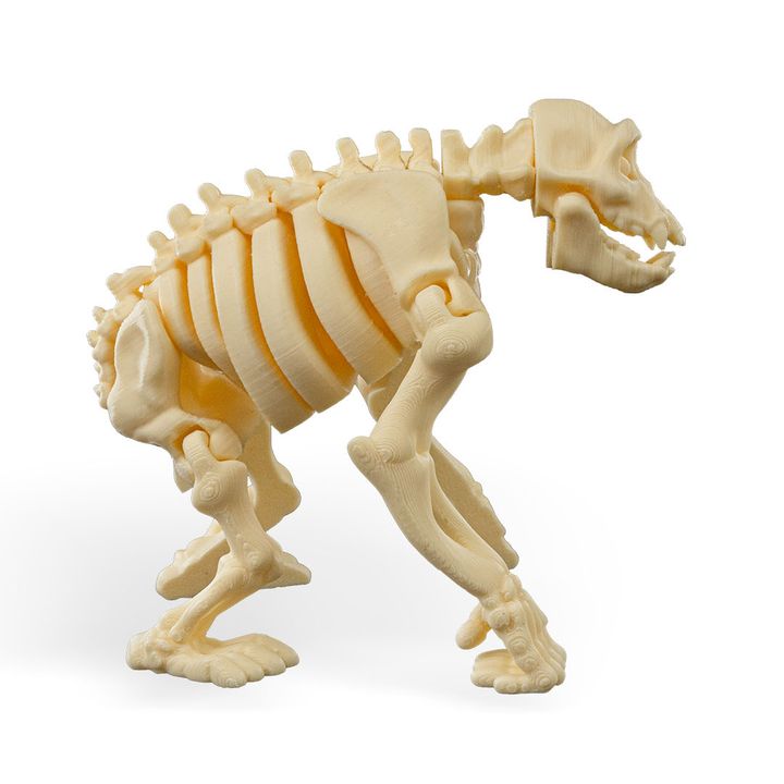 3D Printable Skeleton Chimp by Stlflix