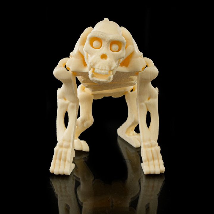 3D Printable Skeleton Chimp by Stlflix