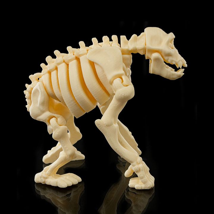 3D Printable Skeleton Chimp by Stlflix