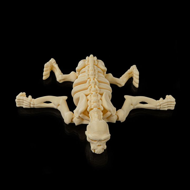 3D Printable Skeleton Chimp by Stlflix