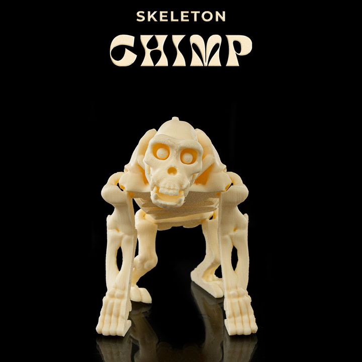 3D Printable Skeleton Chimp by Stlflix