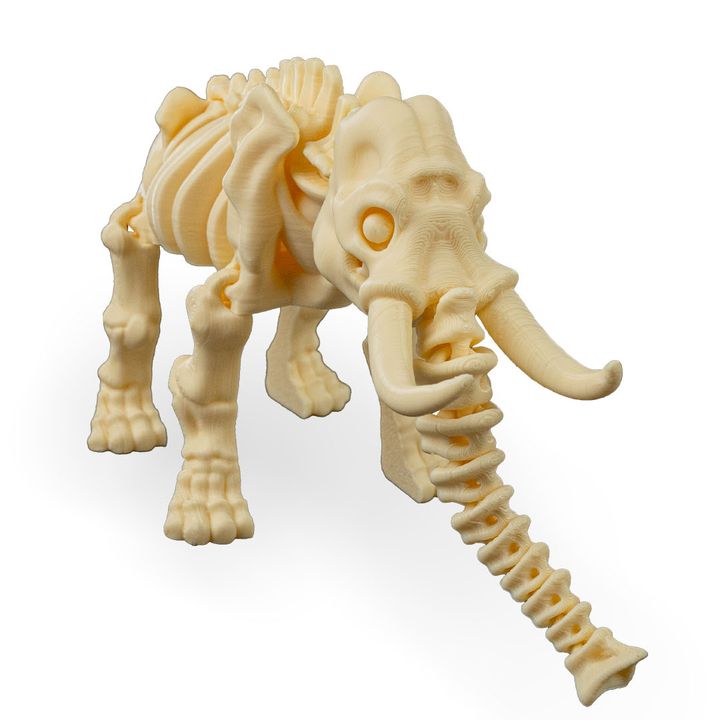 3D Printable Skeleton Elephant by Stlflix