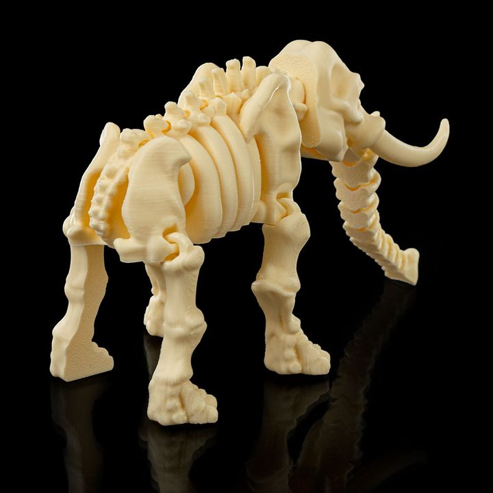 3D Printable Skeleton Elephant by Stlflix