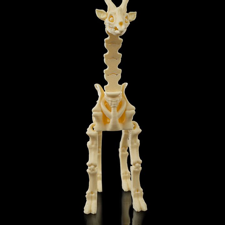 3D Printable Skeleton Giraffe by Stlflix