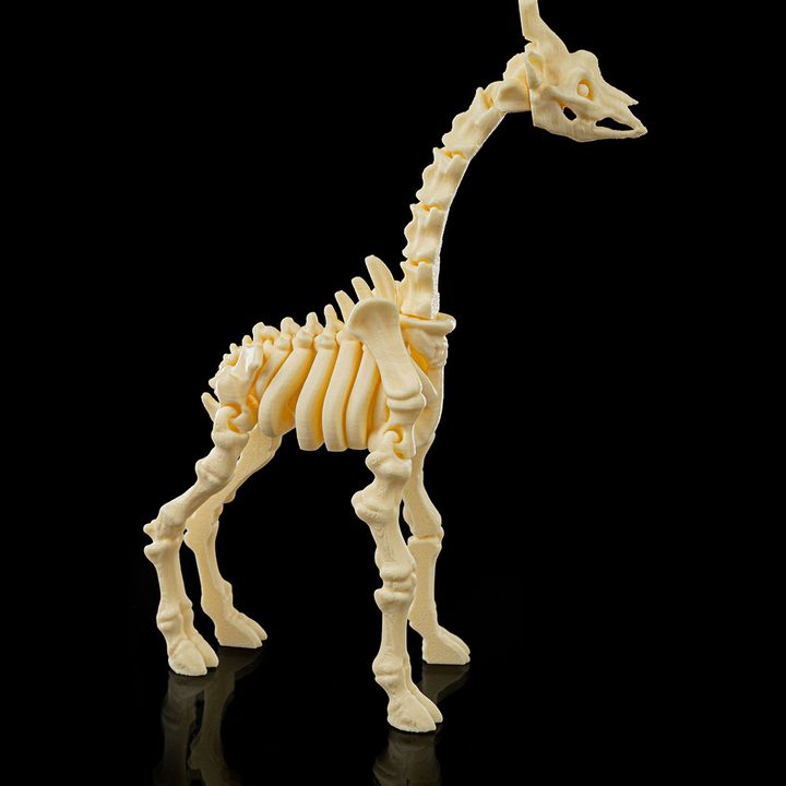 3D Printable Skeleton Giraffe by Stlflix