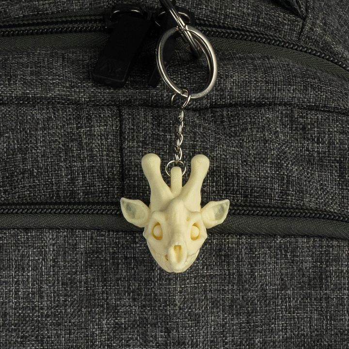 3D Printable Skeleton Safari Keychains by Stlflix