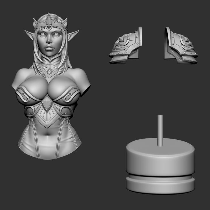 3D Printable Elf Paladin Bust by The Lustful Knight