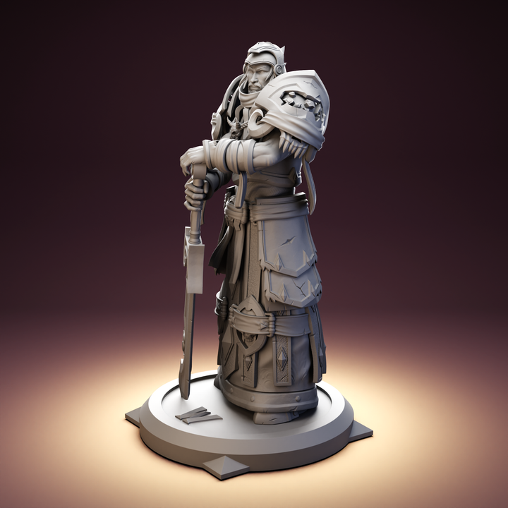 3D Printable Highlord Tirion Fordring - World of Warcraft by Douglas Salles