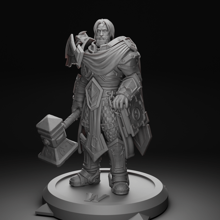 3D Printable Uther the Lightbringer -World of Warcraft by Douglas Salles