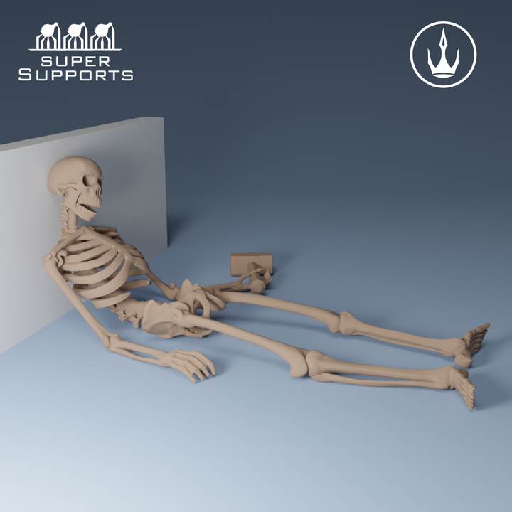 3D Printable Human skeleton poses 1-4 by The King of Bits