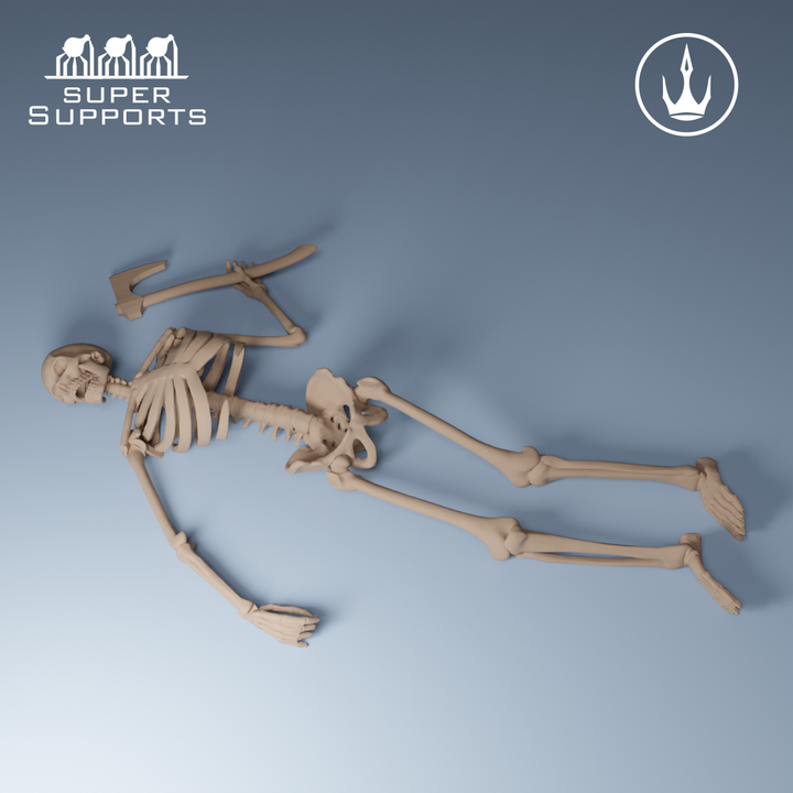 3D Printable Human skeleton poses 1-4 by The King of Bits