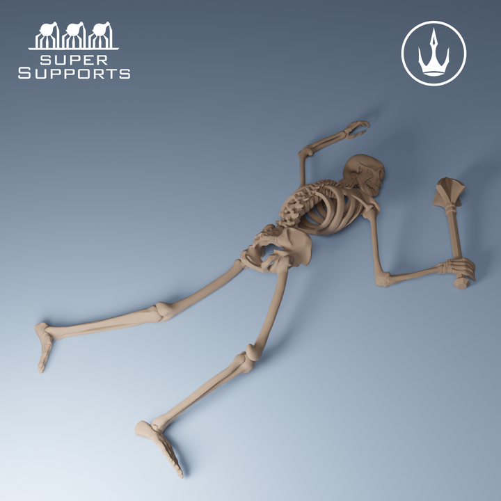 3D Printable Human skeleton poses 1-4 by The King of Bits