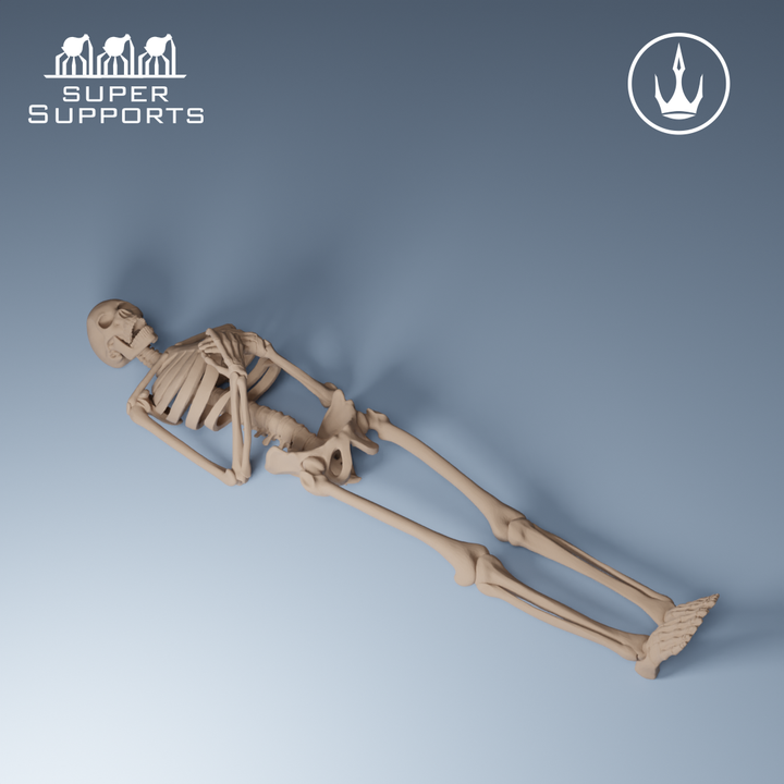 3D Printable Human skeleton poses 1-4 by The King of Bits